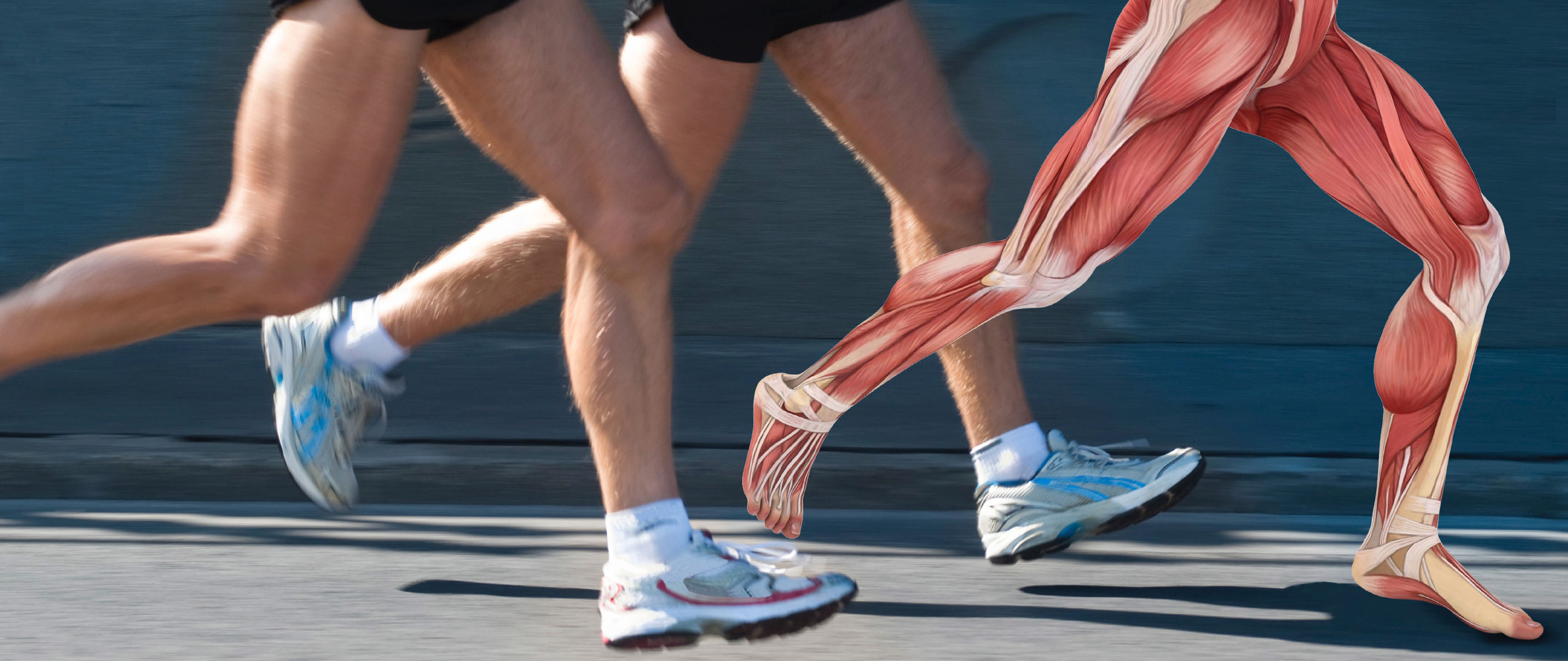 HUMANS ARE BUILT TO RUN WITH PHYSICS